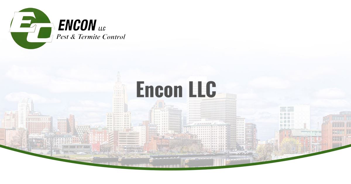Pest Control Services in RI, MA & CT | Encon LLC